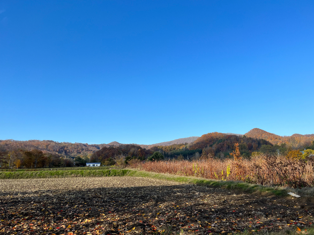 Lake Toya 1200 Tsubo | Niseko Real Estate