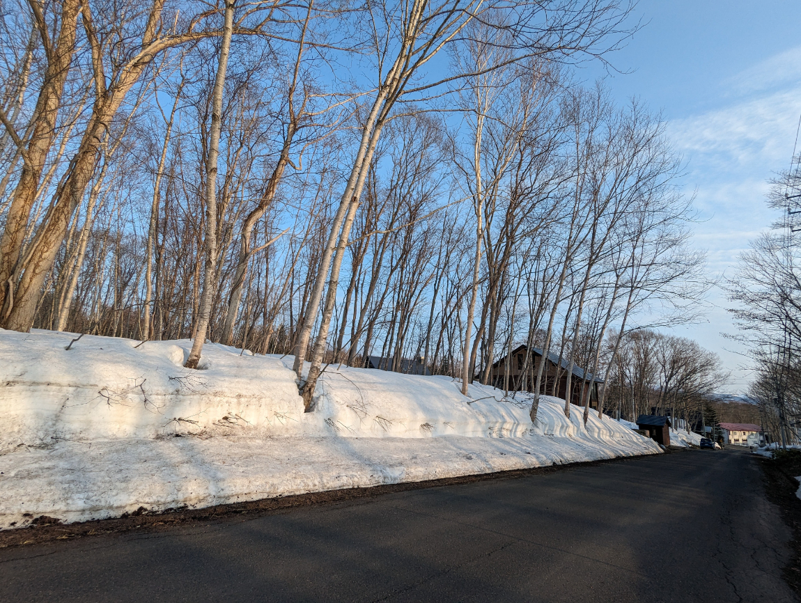 Niseko Moiwa Resort Land | Niseko Real Estate
