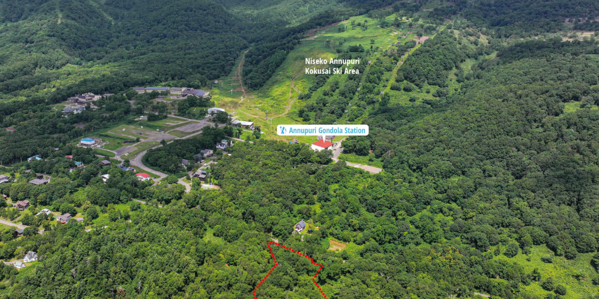 Annupuri Forest Development Land | Niseko Real Estate