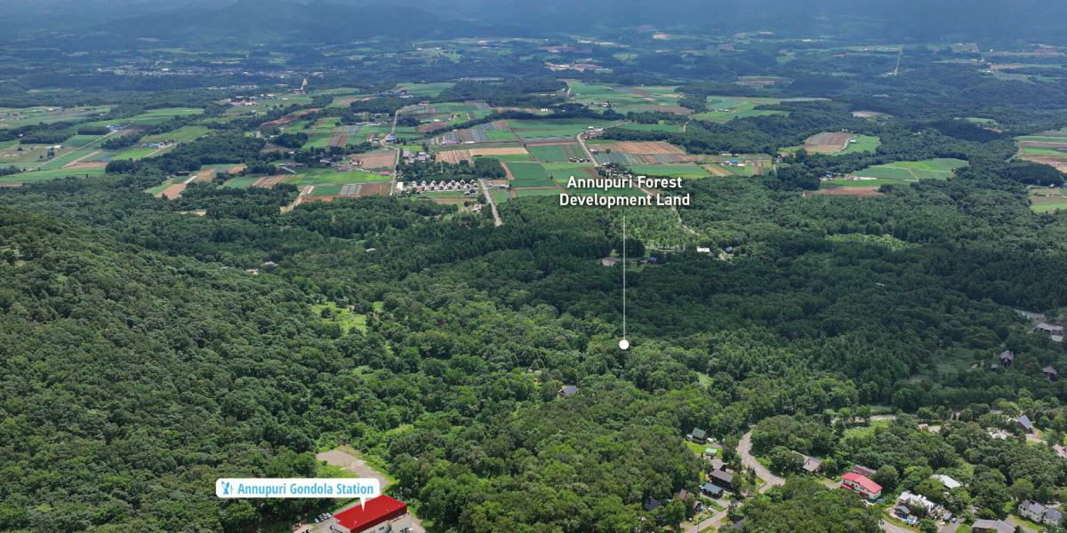 Annupuri Forest Development Land | Niseko Real Estate