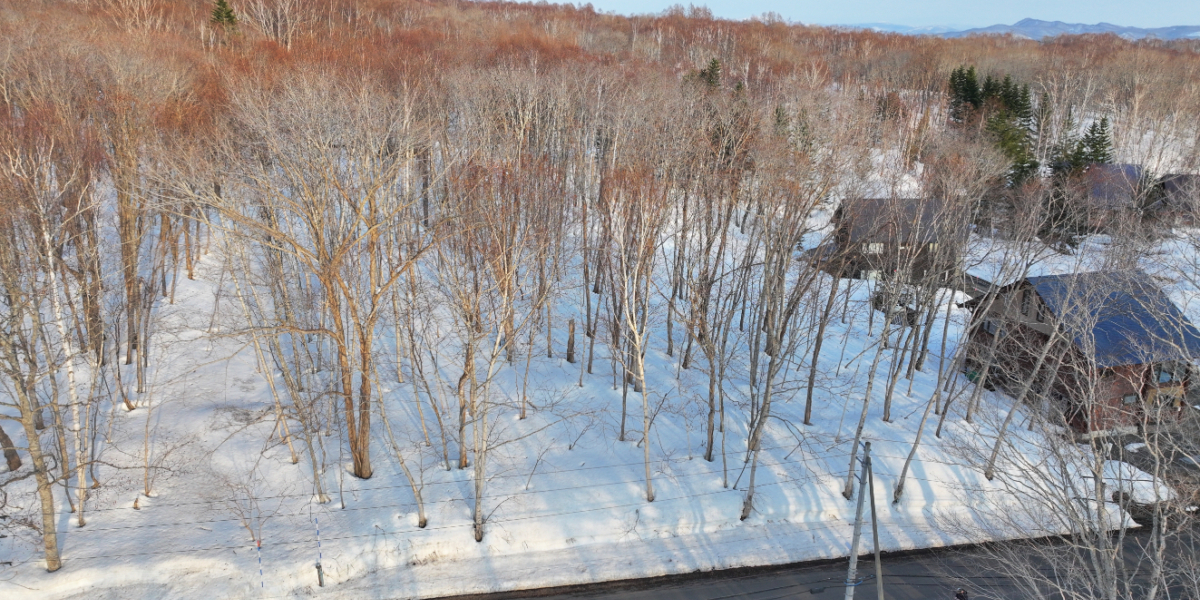 Niseko Moiwa Resort Land | Niseko Real Estate